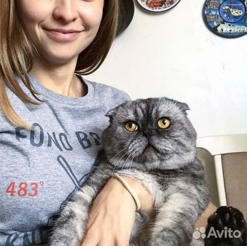 Вязка с лучшим котом на свете