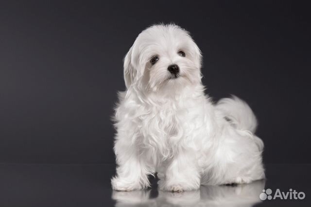 Крошечный мальчишечка