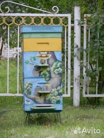 Пчелопакеты Среднерусской породы