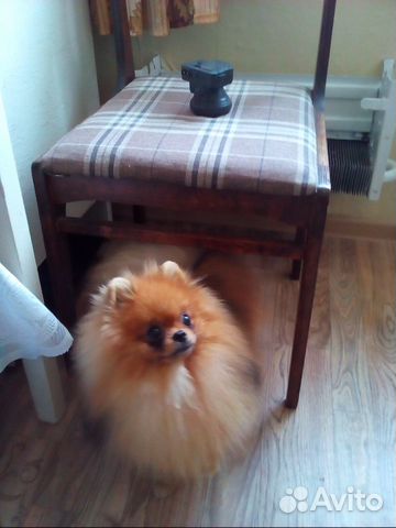 Мишуня(вязка)