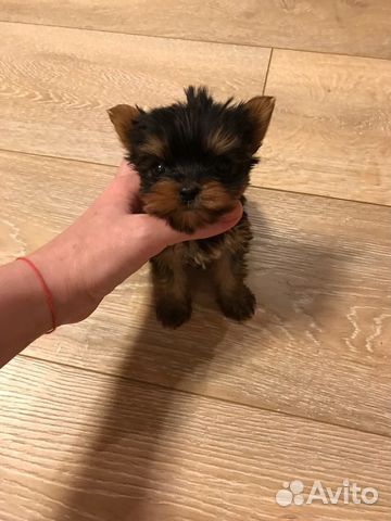 Микро девочка