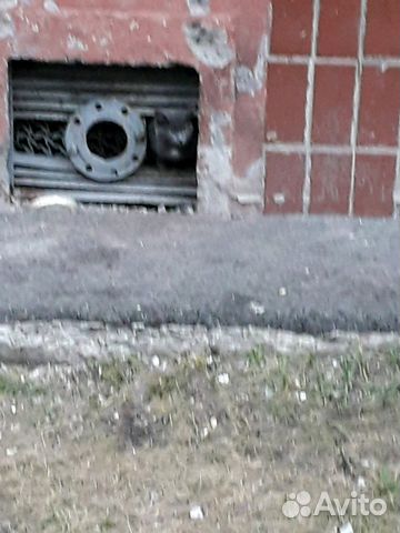 Котенок