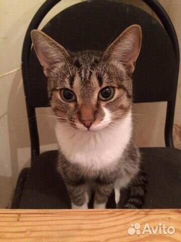 Подросток Тимошка - само обаяние и красота