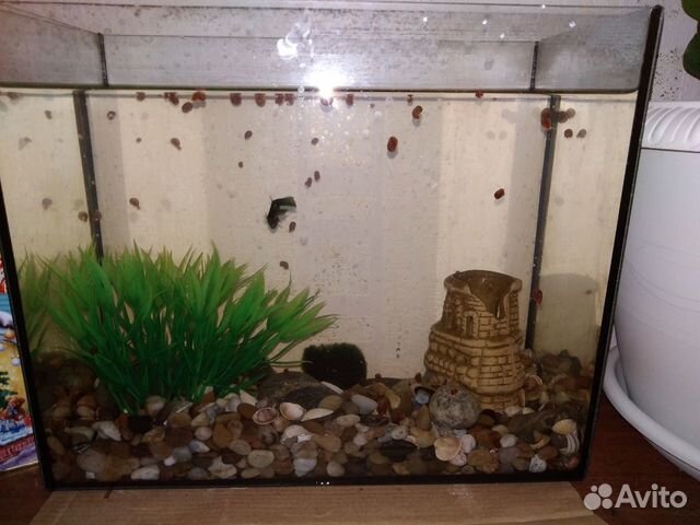 Аквариум 10л