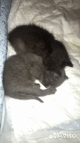 Маленький подарочек