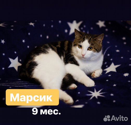 Нежный подросток Марсик
