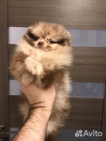 Красивые мальчики