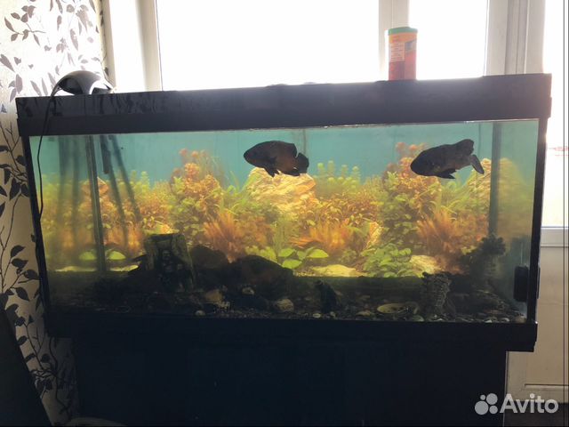 Продам аквариум