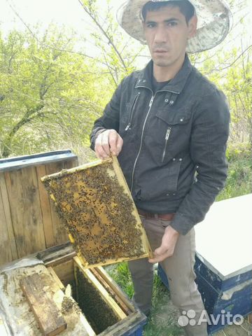 Пчелопакеты