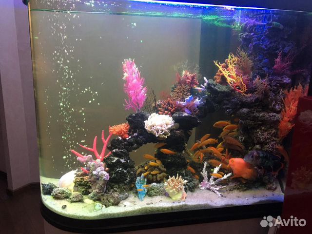 Аквариум 900 л