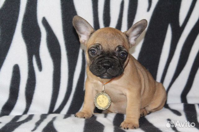 Французские булочки