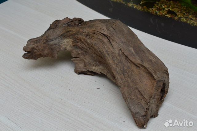 Коряга для аквариума натуральная, мангровое дерево