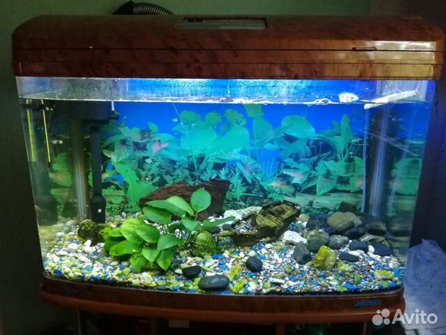 Украшение для аквариума