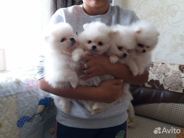 Маленькие облачки