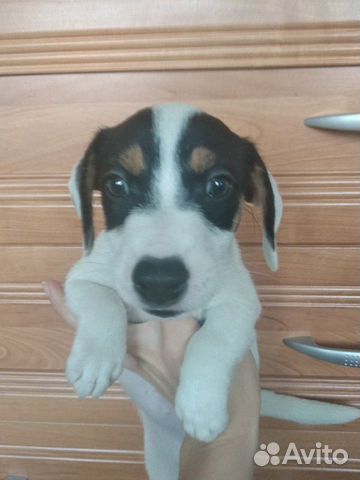 Мальчик дрт