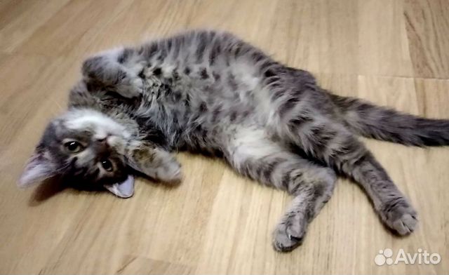 Малышка Крис