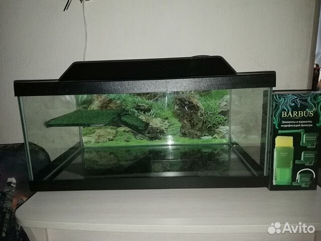 Аквариум для черепах