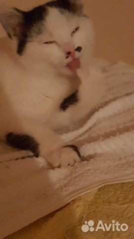 Милашка очаровашка