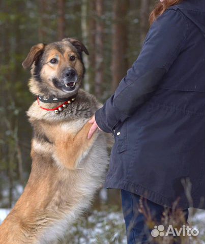 Розали мечтает о хозяине