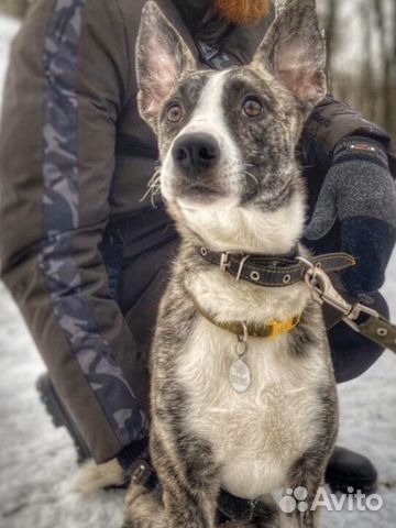 В ответственные руки