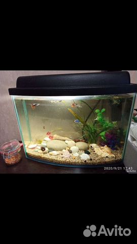 Аквариум