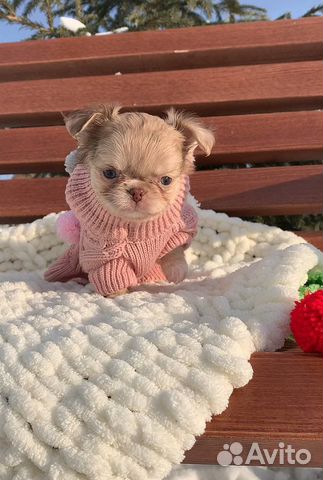 Курносая куколка Лиловый мрамор