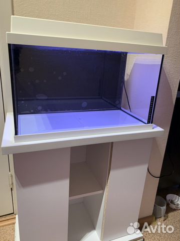 Аквариум juwel 60л с тумбой, комплект