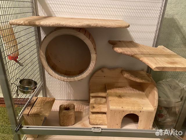 Продам витрину для шиншилл и дегу