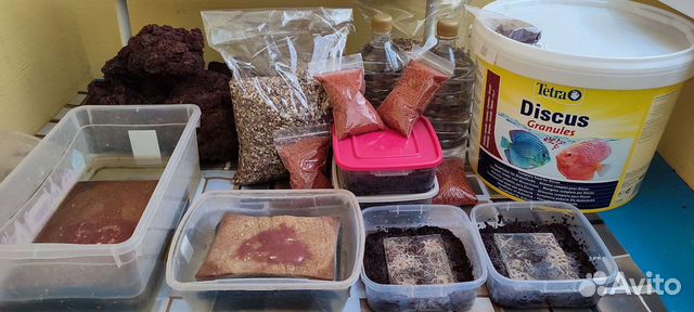 Живой корм для аквариумных рыбок