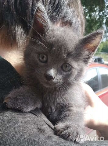 Жизненно нужен дом