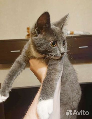 Малышка Лилит., 3 месяца