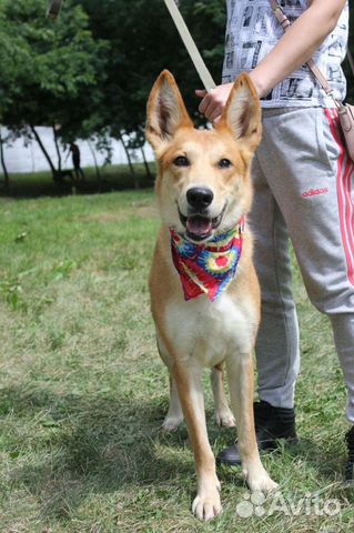 Люди передали, но Лесли всё ещё в них верит