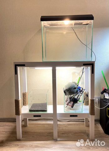 Аквариумная композиция