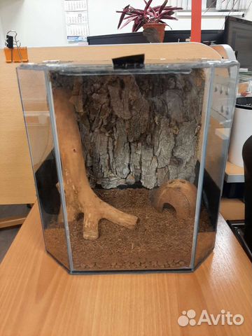 Террариум для паука