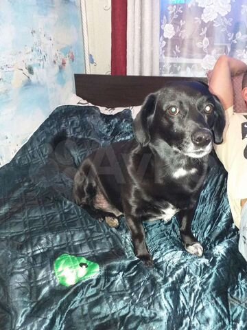 Красивый парень ищет невесту