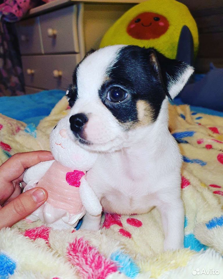 Кукольный минюшка мальчик