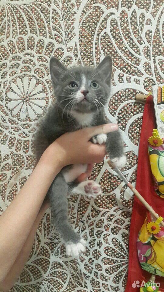 Классный малыш