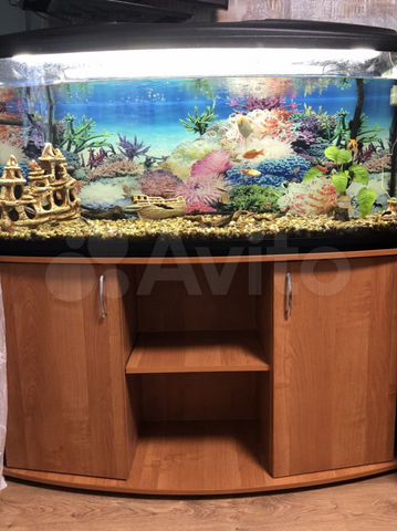 Панорамный аквариум Aquael на 210 литров